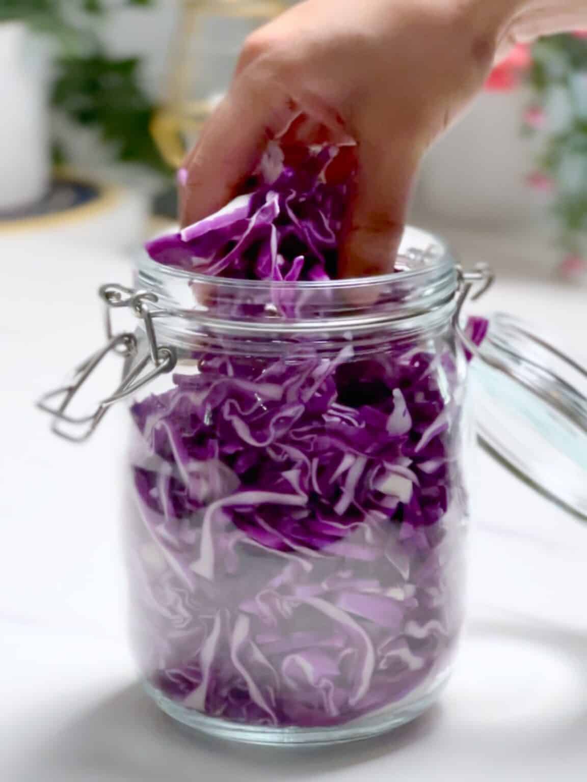 Pickled Purple Cabbage